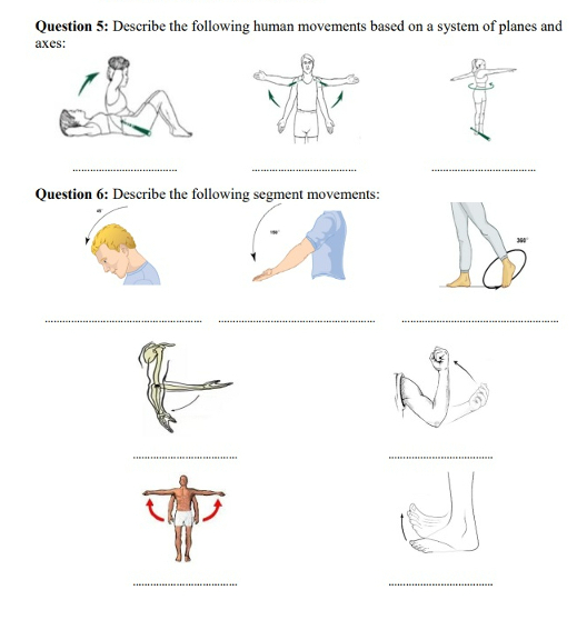 Solved Question 5: Describe the following human movements | Chegg.com