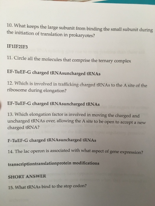 Solved 10. What keeps the large subunit from binding the | Chegg.com