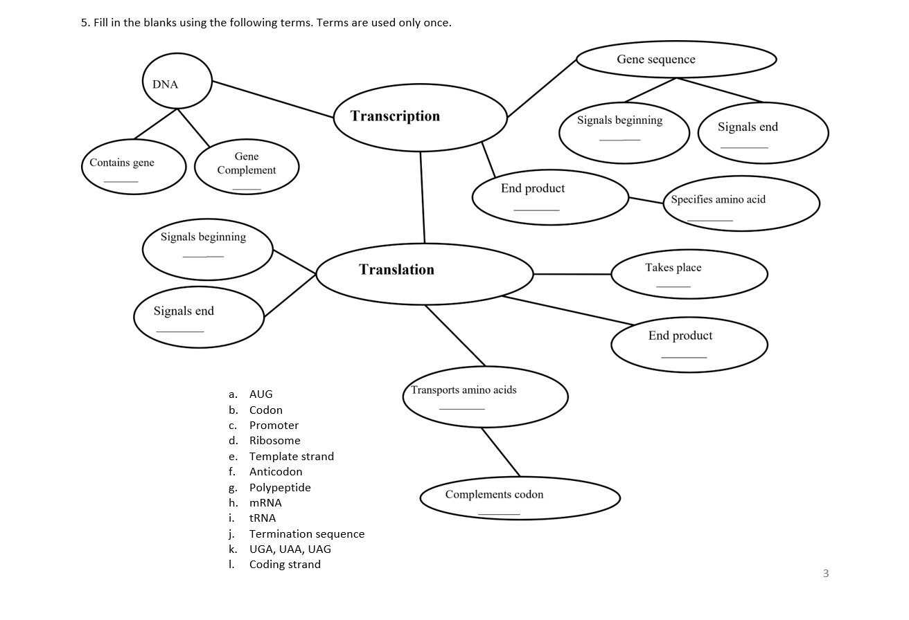 Solved 5. Fill in the blanks using the following terms. | Chegg.com
