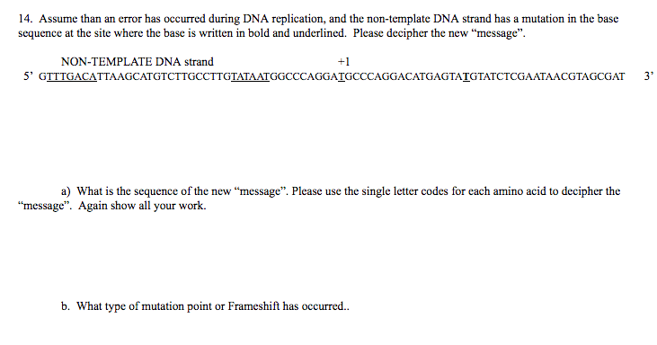 Solved 14. Assume than an error has occurred during DNA | Chegg.com