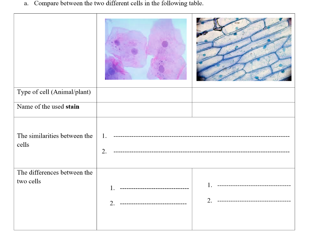 Solved a. Compare between the two different cells in the | Chegg.com