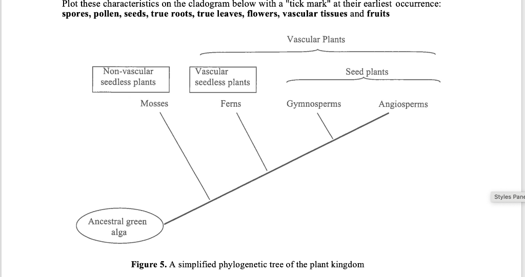 Solved Plot these characteristics on the cladogram below | Chegg.com