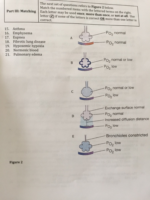 Solved The next set of questions refers to Figure 2 below. | Chegg.com