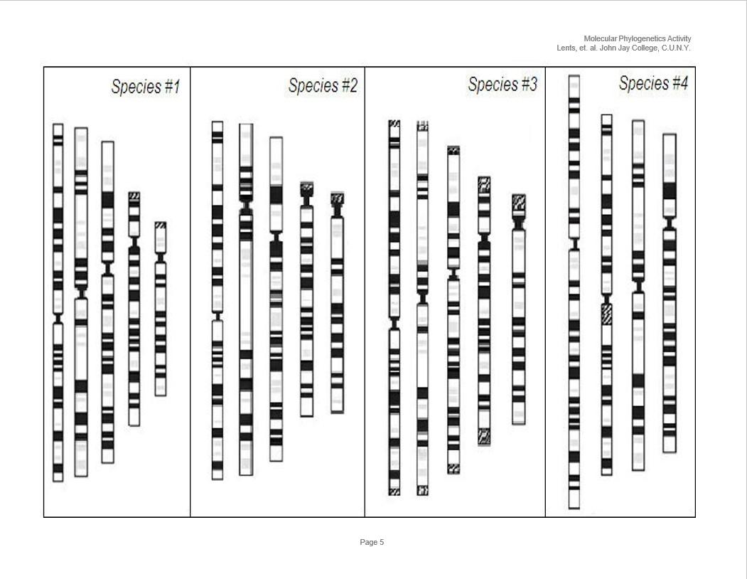 solved-activity-1-molecular-phylogenetics-using-a-chegg