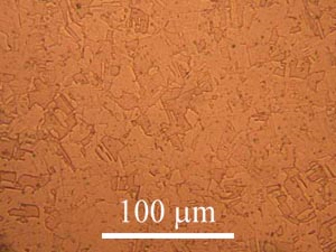 Solved The following micrograph is of a copper specimen's | Chegg.com