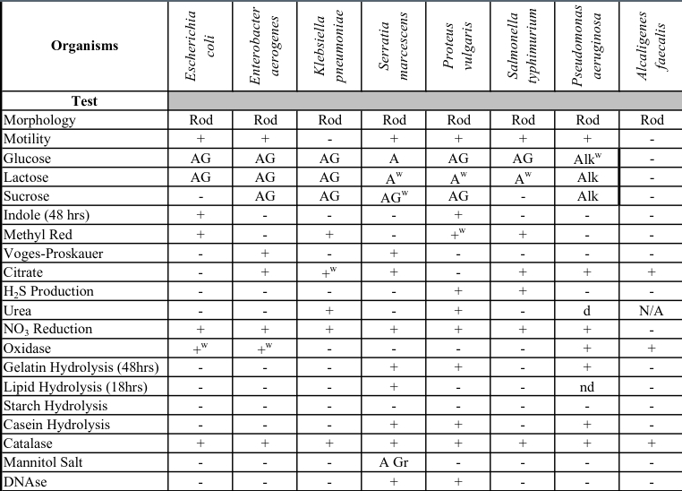 Solved Find the unknown bacteria here using two tests and | Chegg.com