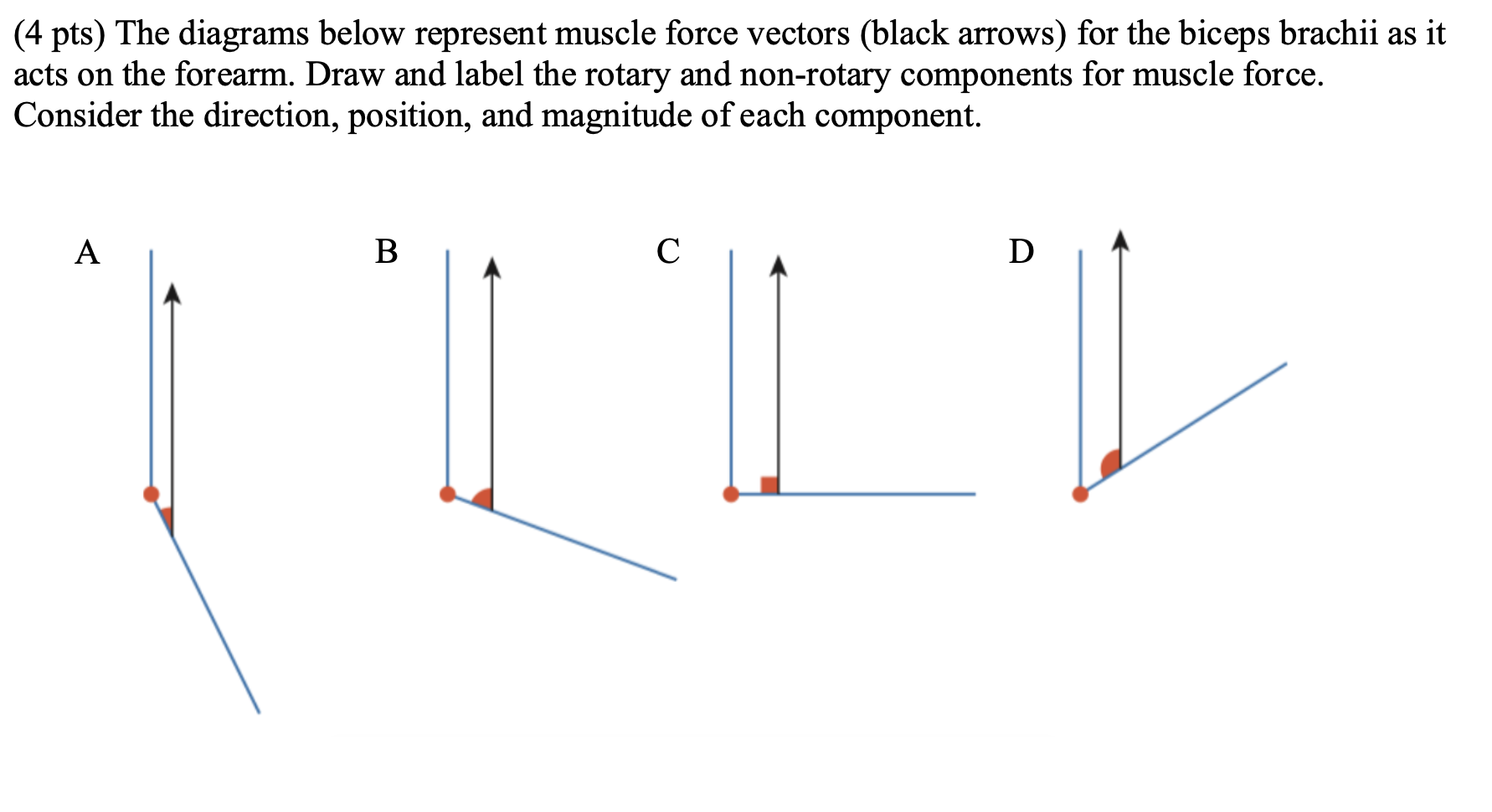Solved (4 ﻿pts) ﻿The diagrams below represent muscle force | Chegg.com