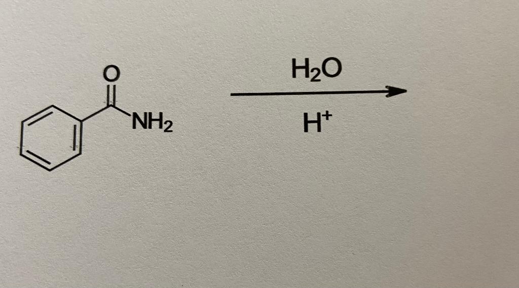 Solved H2O NH2 H+ | Chegg.com