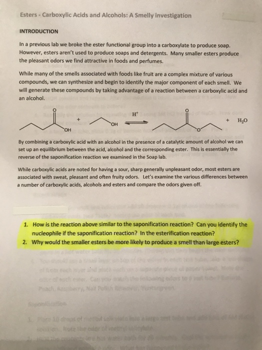 Solved Esters-Carboxylic Acids and Alcohols: A Smelly | Chegg.com