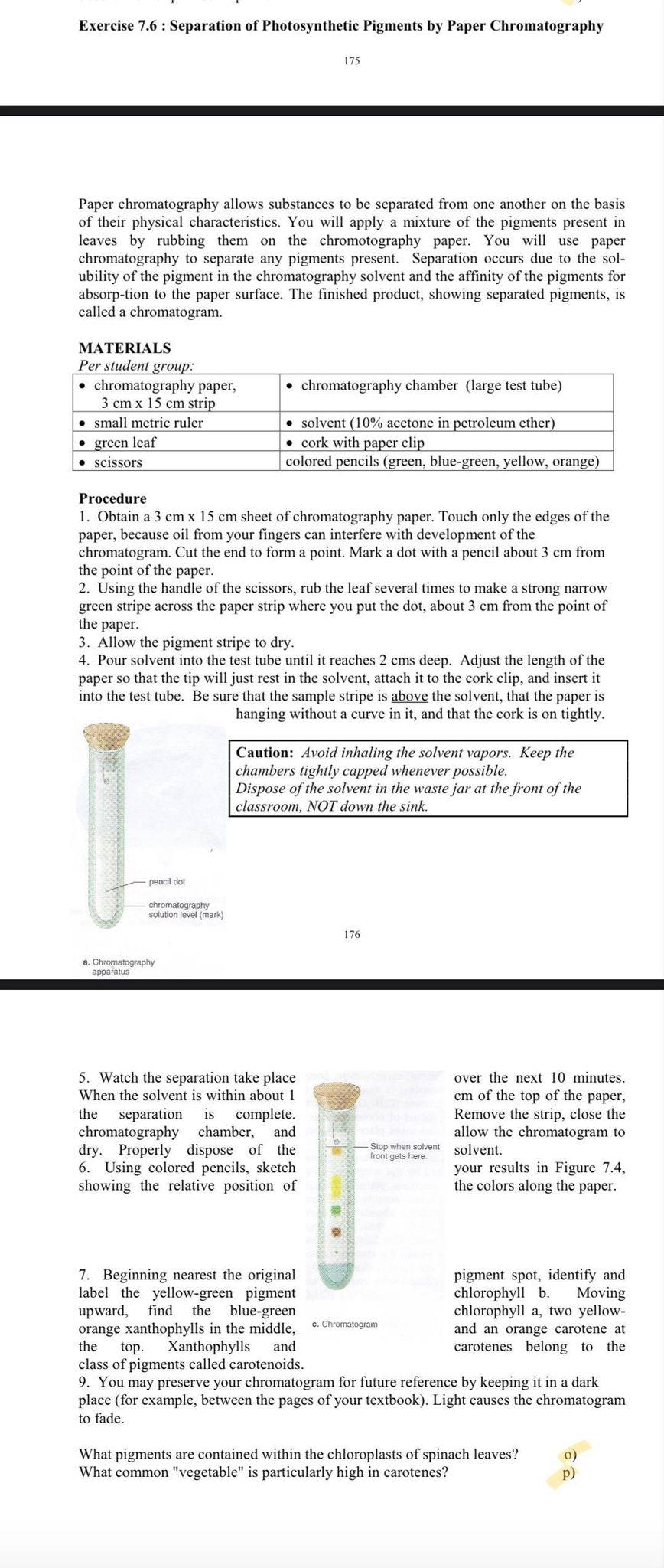 Photosynthetic Pigments Chromatography