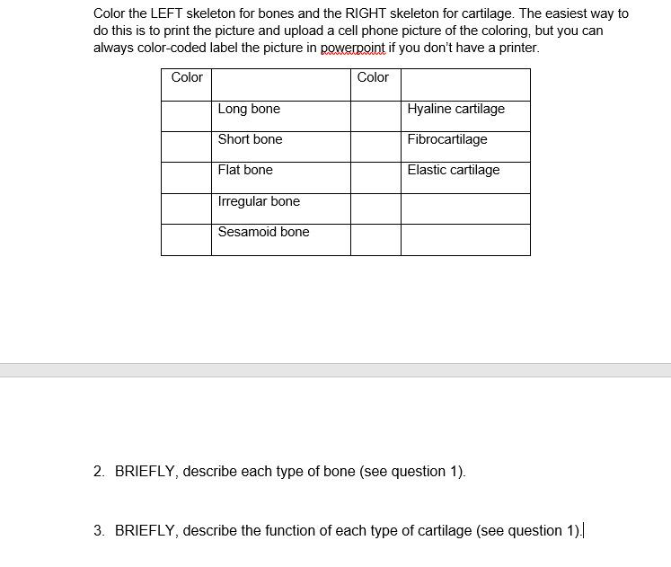 Solved KANADA கடகம் 1. Color the LEFT skeleton for bones and | Chegg.com