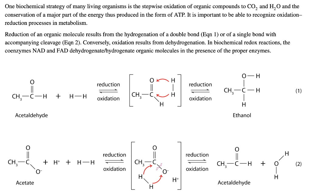 Solved One biochemical strategy of many living organisms is | Chegg.com