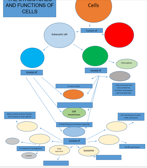 Solved Cells AND FUNCTIONS OF CELLS Consist of Eukaryotic | Chegg.com