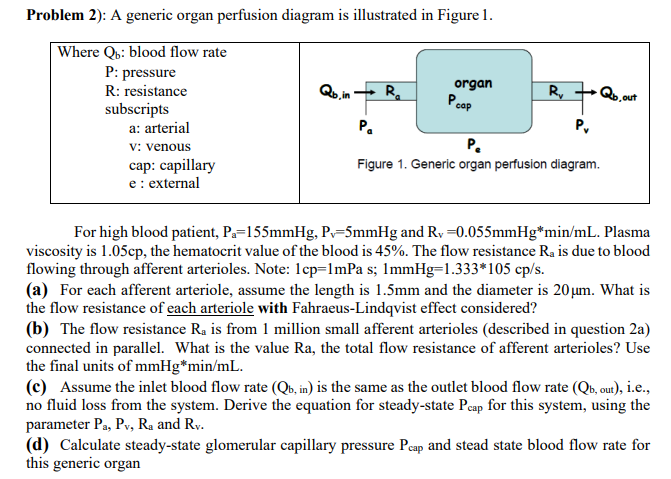 Solved Problem 2): A generic organ perfusion diagram is | Chegg.com