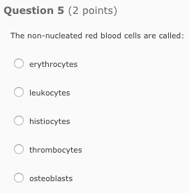 Solved Question 5 (2 points) The non-nucleated red blood | Chegg.com