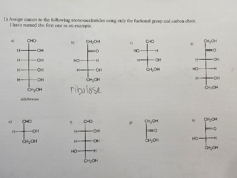 Solved Assign names to the following monosaccharides using | Chegg.com