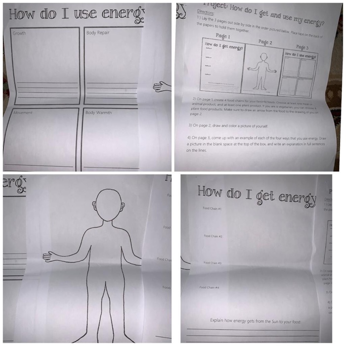 recHow do I get and use my energy? How do I use ener | Chegg.com
