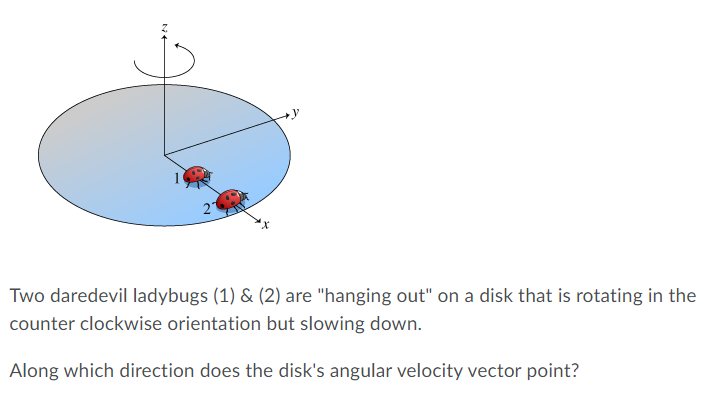 Solved 21 Two daredevil ladybugs (1) & (2) are "hanging out" | Chegg.com