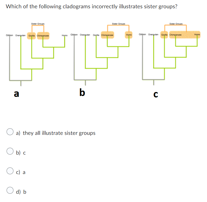 Solved Which of the following cladograms incorrectly | Chegg.com