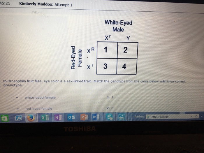 Solved Question 12 (5 points) 3 2 1. 5. 4 Match the number | Chegg.com Solved Question 12 (5 points) 3 2 1. 5. 4 Match the number | Chegg.com