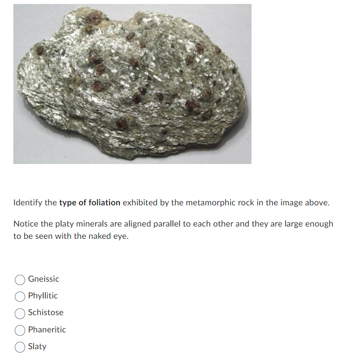 Solved Identify the type of foliation exhibited by the | Chegg.com