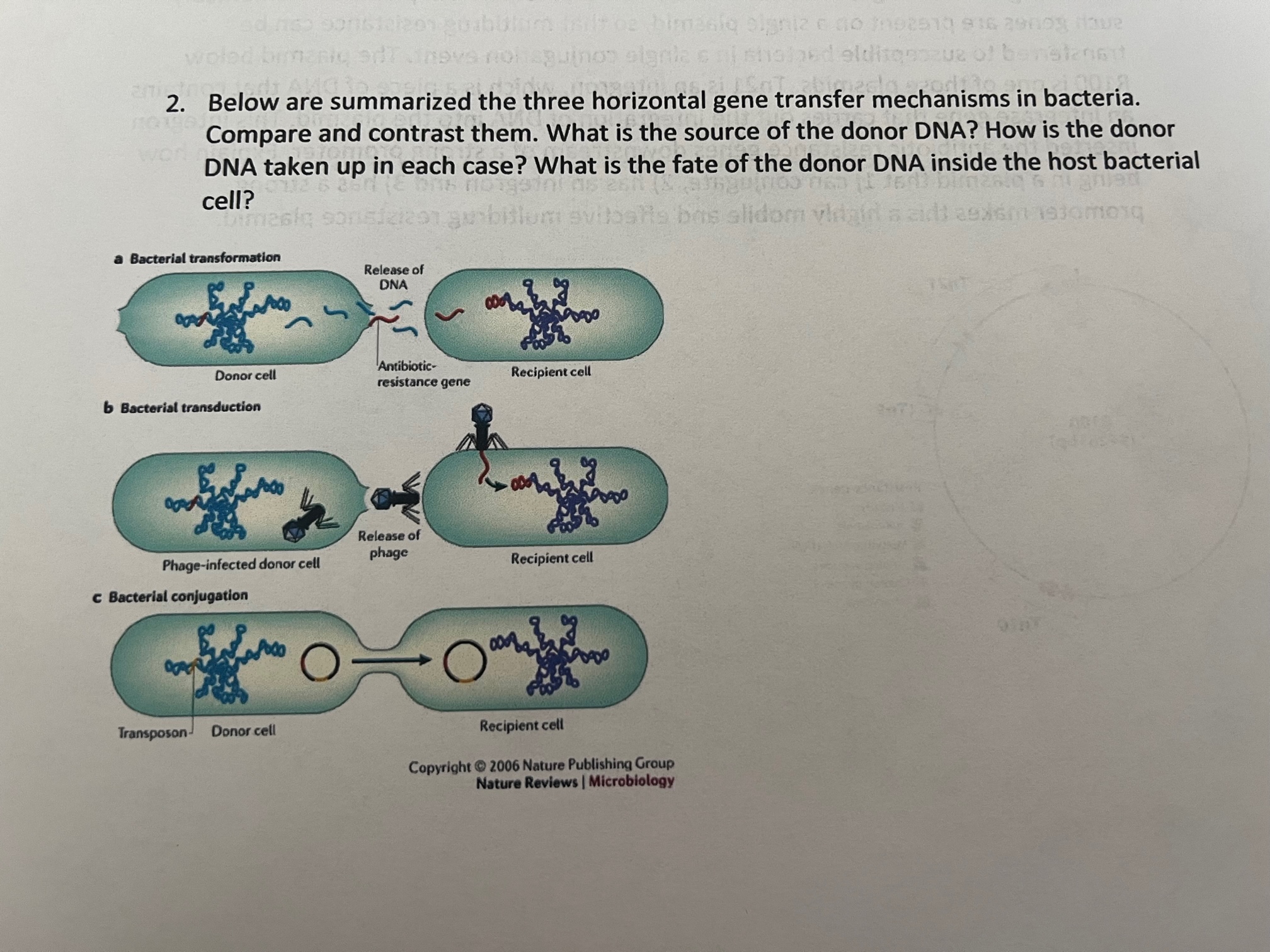 Solved 2. Below are summarized the three horizontal gene | Chegg.com