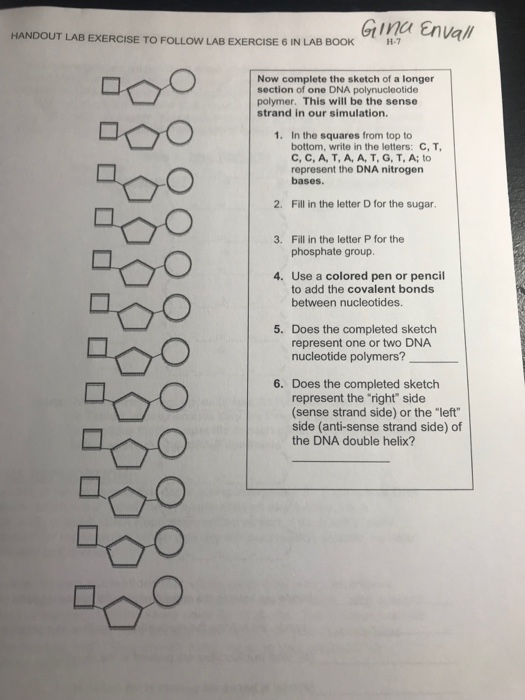 Solved HANDOUT LAB EXERCISE TO FOLLOW LAB EXERCISE 6 IN LAB | Chegg.com Solved HANDOUT LAB EXERCISE TO FOLLOW LAB EXERCISE 6 IN LAB | Chegg.com