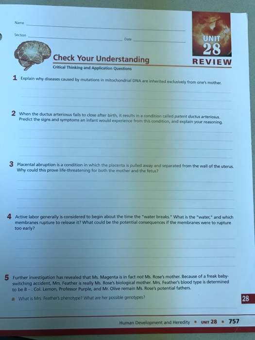 Solved Name Section UNIT 28 REVIEWw Date Check Your | Chegg.com