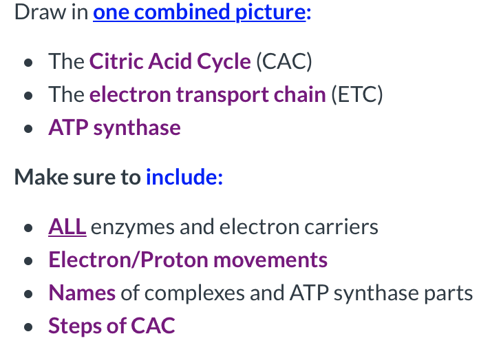 Solved Draw in one combined picture: • The Citric Acid Cycle | Chegg.com