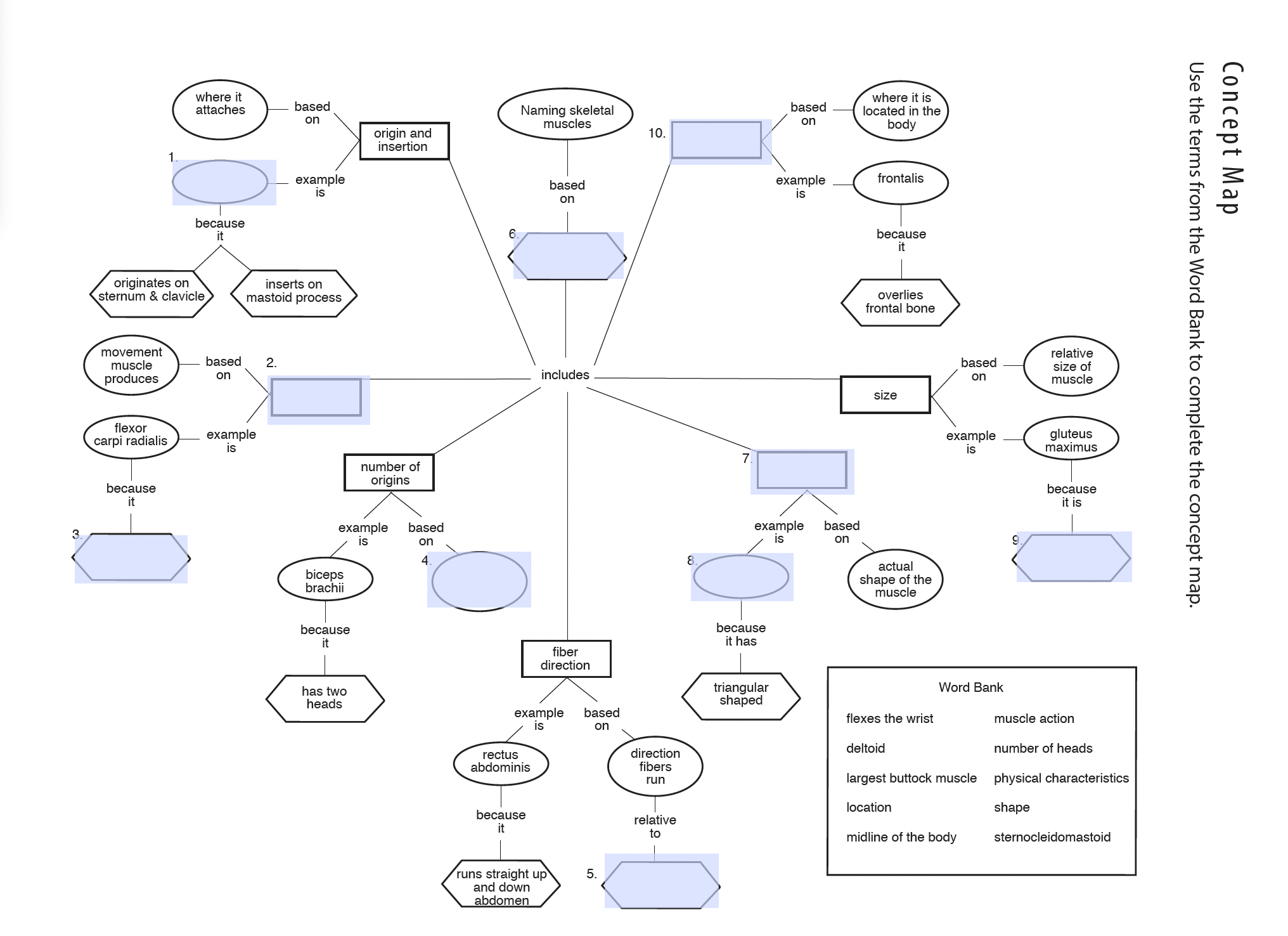 Solved please complete the concept map by filling it in. | Chegg.com