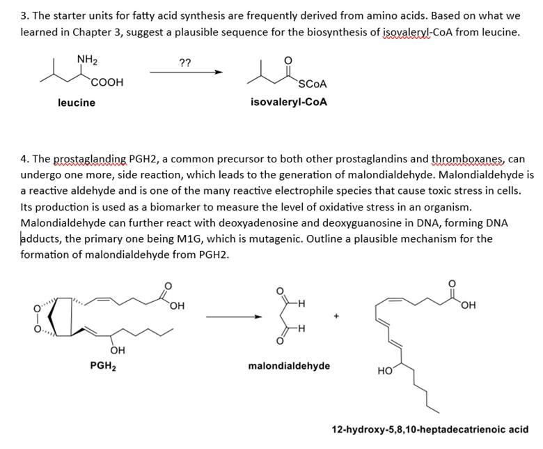 Solved 3. The starter units for fatty acid synthesis are | Chegg.com