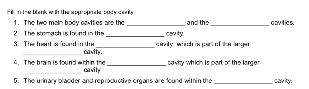 Solved Fill in the blank with the appropriate body cavity | Chegg.com