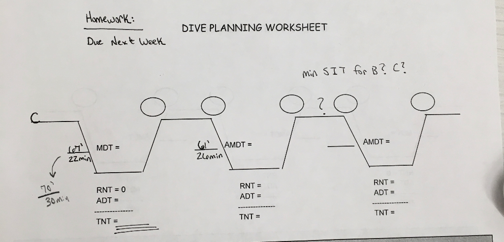 Home Homework: Week DIVE PLANNING WORKSHEET Due Next | Chegg.com