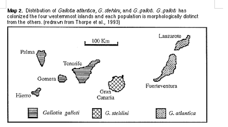 Solved PART III: PHYLOGENY BASED ON MORPHOLOGY Study the | Chegg.com