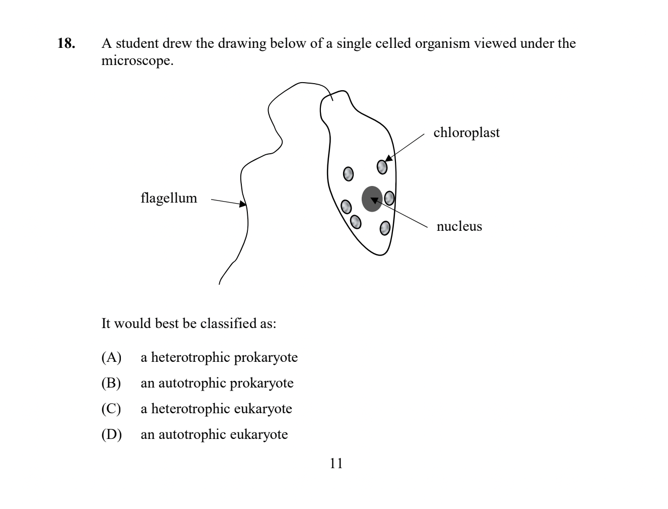 Solved 8. A student drew the drawing below of a single | Chegg.com