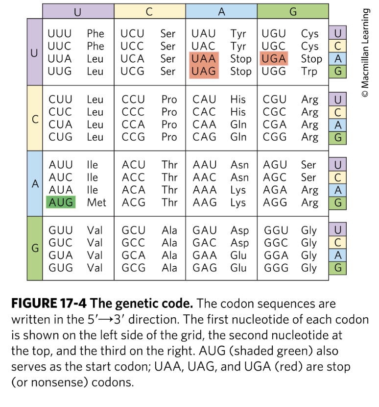 Solved Hi! I know the correct answer is CAA, but I do not | Chegg.com
