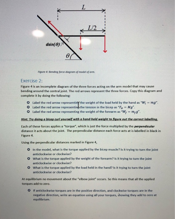 Solved Expt E6- Prelab Physics of the Human Arm If you have | Chegg.com