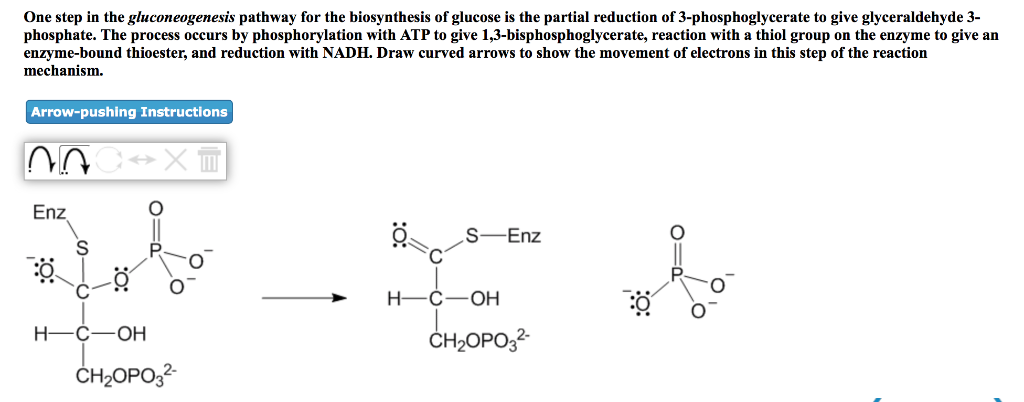 Solved PO H-C-OH H-C-OH CH2OPO [Enzyme-bound thioester] | Chegg.com