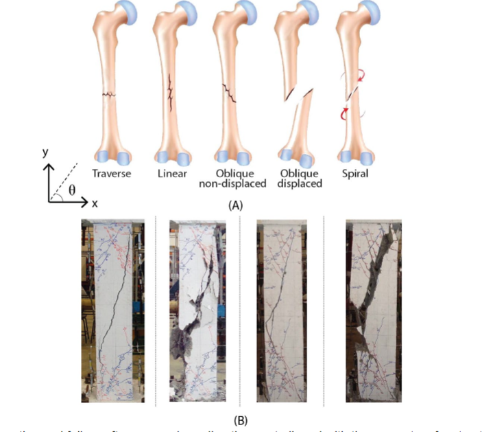 In each of the subfigures (A) and (B) shown below, | Chegg.com