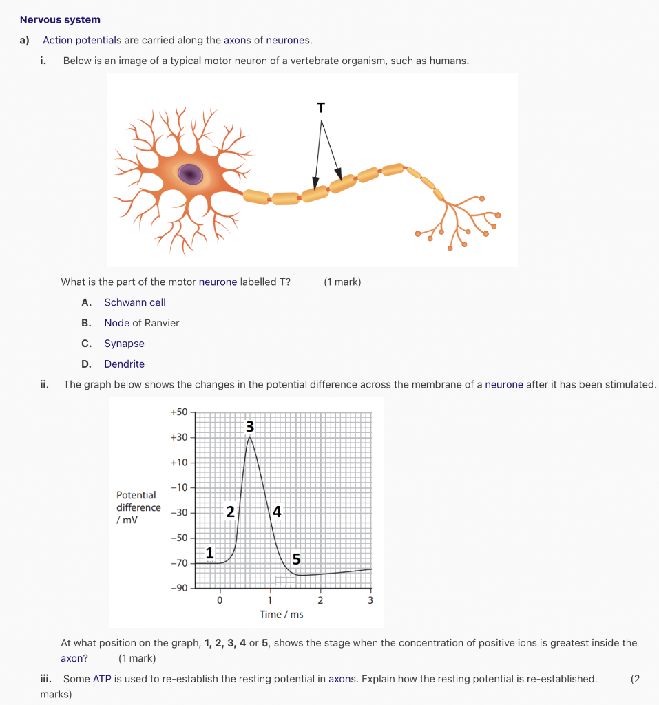 Solved Nervous system a) Action potentials are carried along | Chegg.com