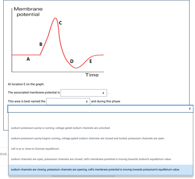 Sodium Potassium Pump Graph