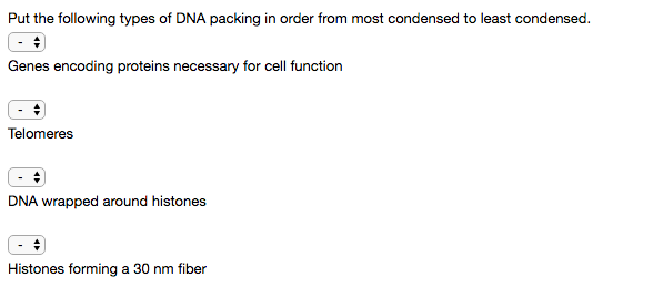 Solved Put the following types of DNA packing in order from | Chegg.com