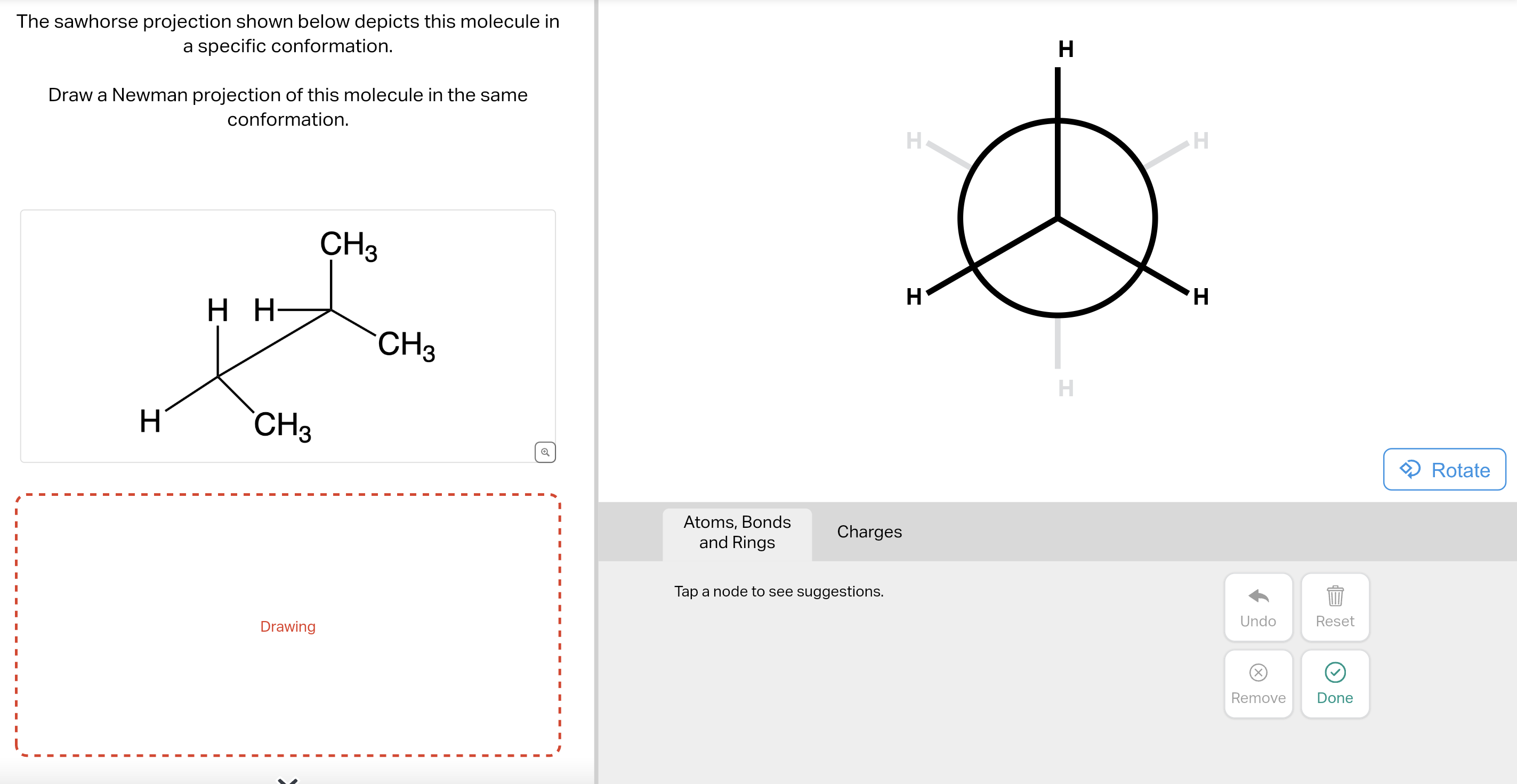 Solved The sawhorse projection shown below depicts this | Chegg.com