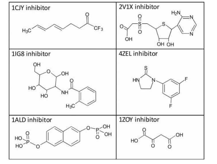 Solved Your enzyme is inhibited by one of the compounds | Chegg.com