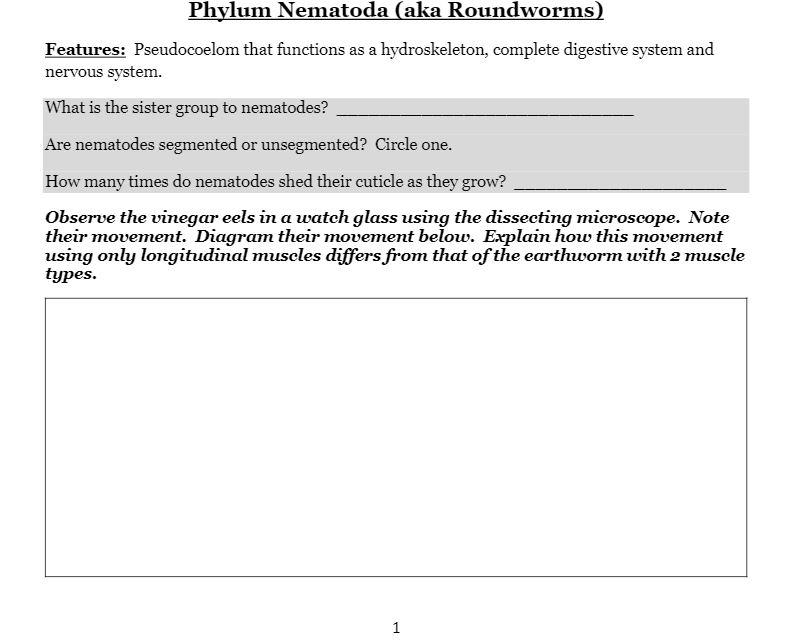 Solved Phylum Nematoda (aka Roundworms) Features: | Chegg.com
