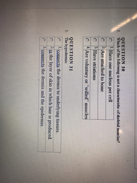 Solved Paragraph Font True and False questions: QUESTION 1 | Chegg.com