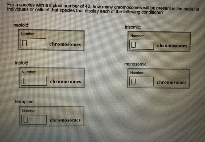 Solved For a species with a diploid number of 42, how many | Chegg.com