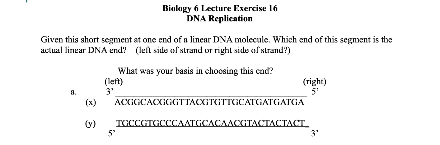 Solved Biology 6 Lecture Exercise 16 DNA Replication Given | Chegg.com