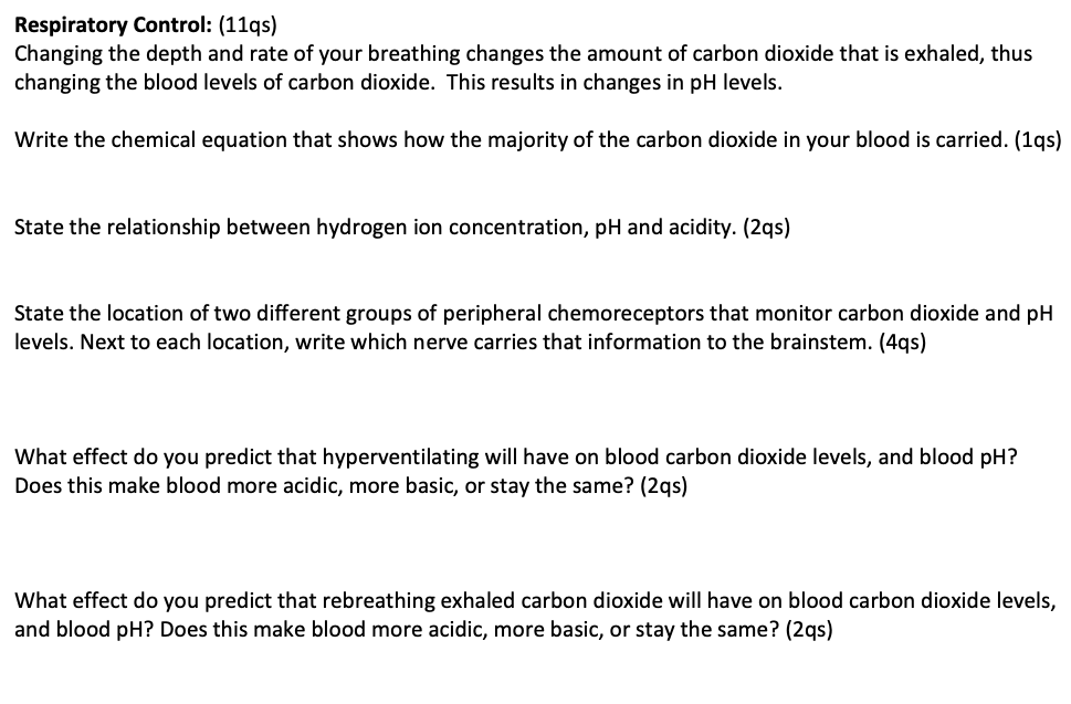 Solved Respiratory Control: (11qs) Changing the depth and | Chegg.com