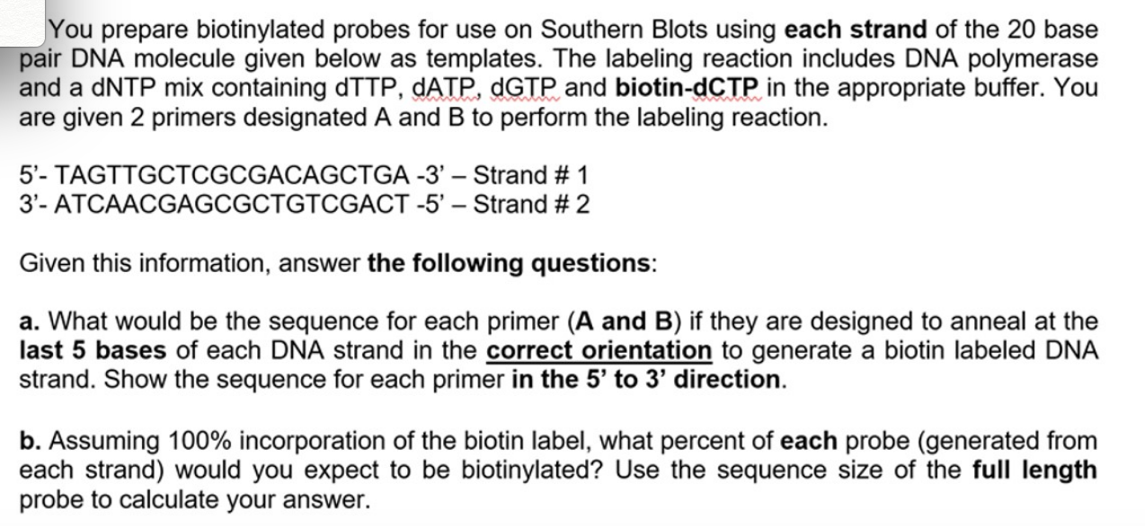 Solved You prepare biotinylated probes for use on Southern | Chegg.com
